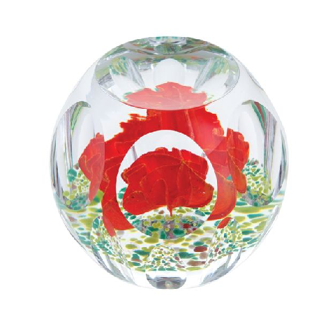 Limited Edition Paperweights - CAITHNESS GLASS - Collectables