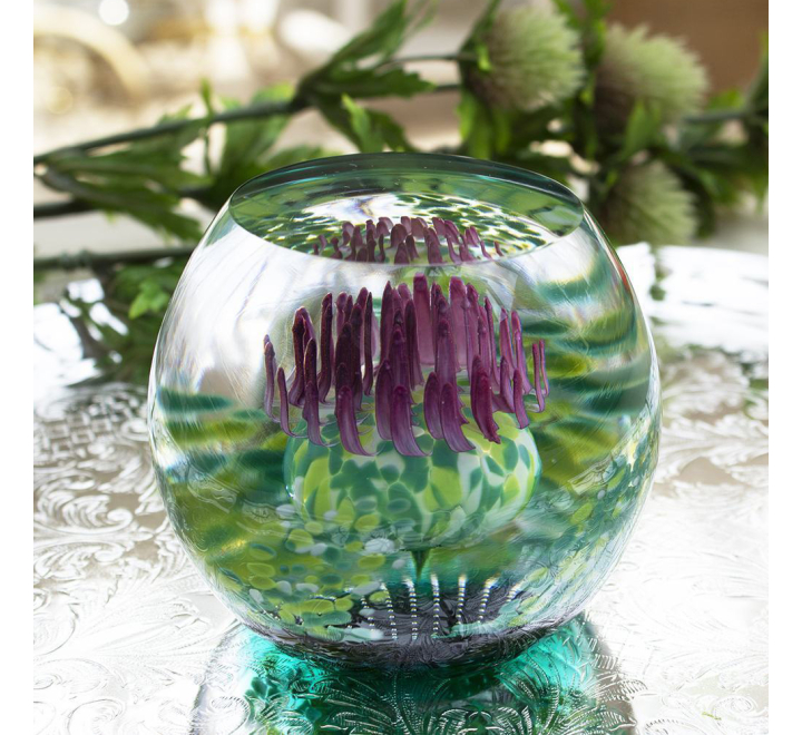 Caledonian Thistle (Flower of Scotland) Glass Paperweight (Scottish ...